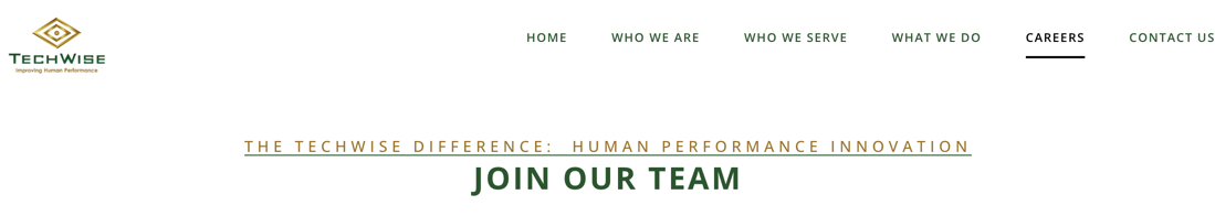 Job Listings - Techwise Jobs